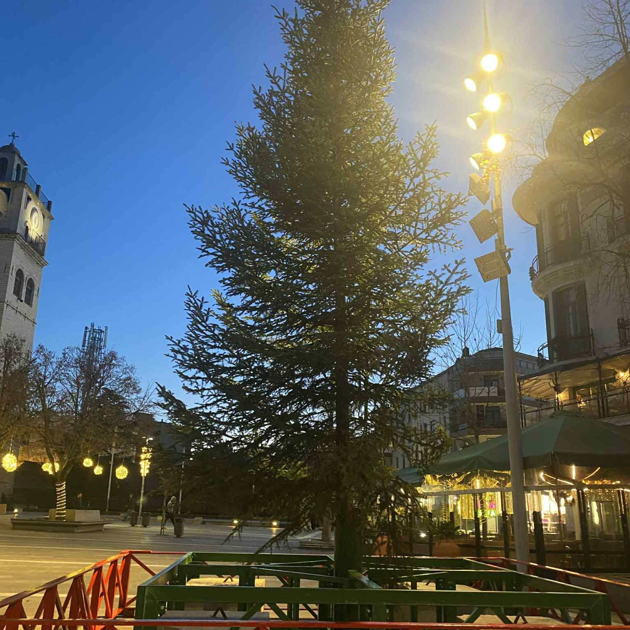 Kozanimedia: Toποθετήθηκε το νέο, φυσικό χριστουγεννιάτικο δέντρο των ...